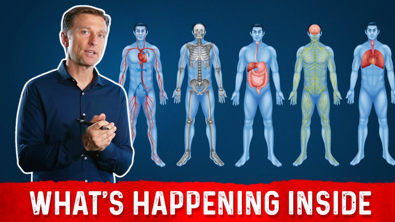 What Really Happens When We Fast? - Resources - The Advantage Coach