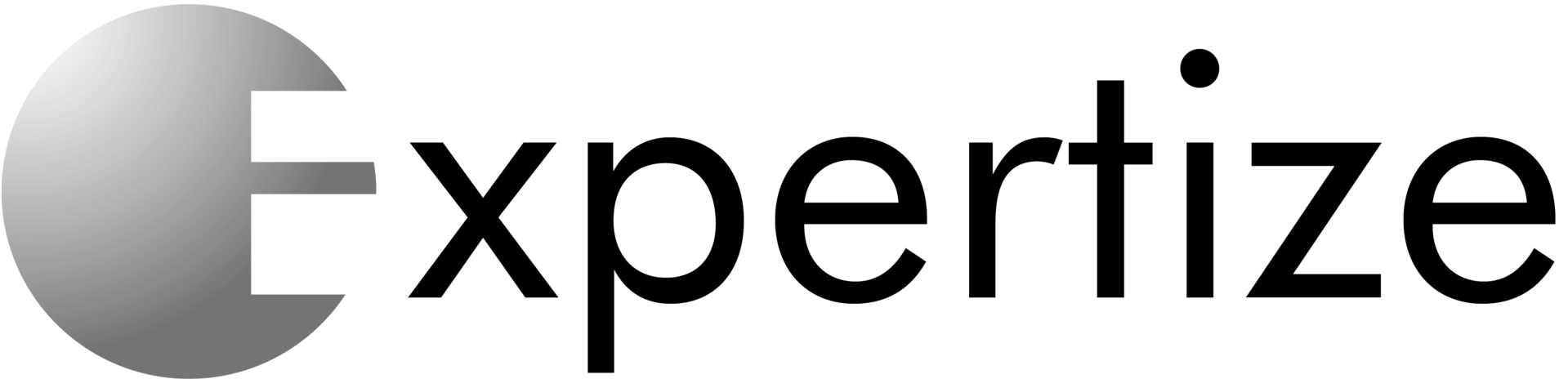 Expertize GmbH - Integrationslösungen für Schnittstellenprojekte