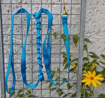 Leinen - Die Farm - Vermittlung von Hunden in Not