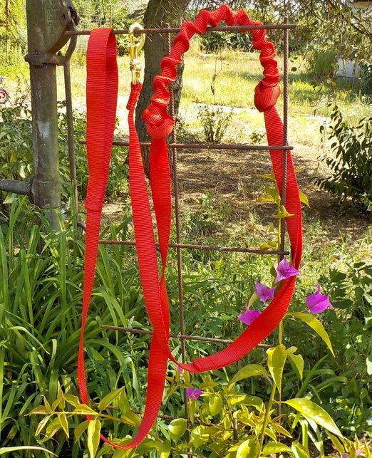 Die Farm - Vermittlung von Hunden in Not - Vermittlung von geretteten ...