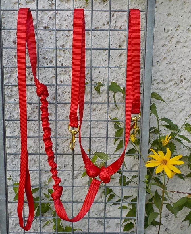 Leinen - Die Farm - Vermittlung von Hunden in Not