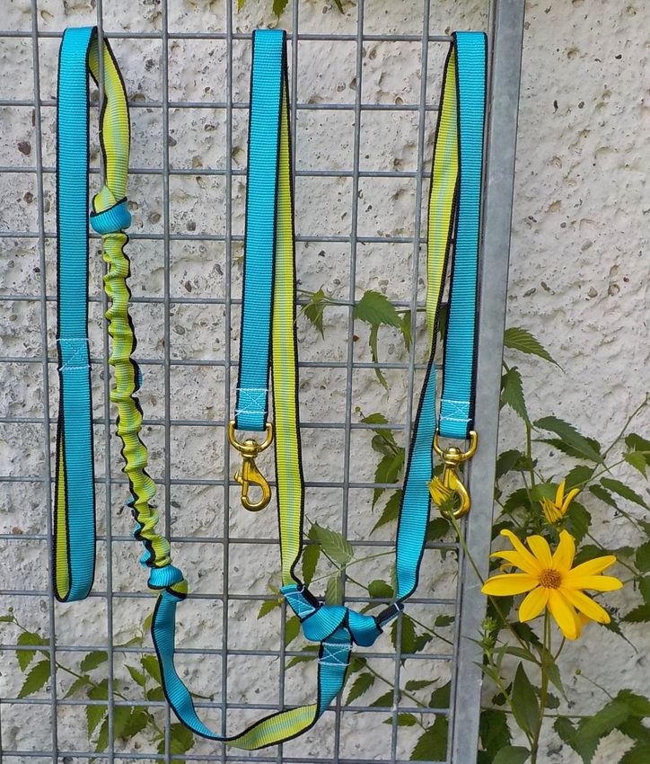 Leinen - Die Farm - Vermittlung von Hunden in Not